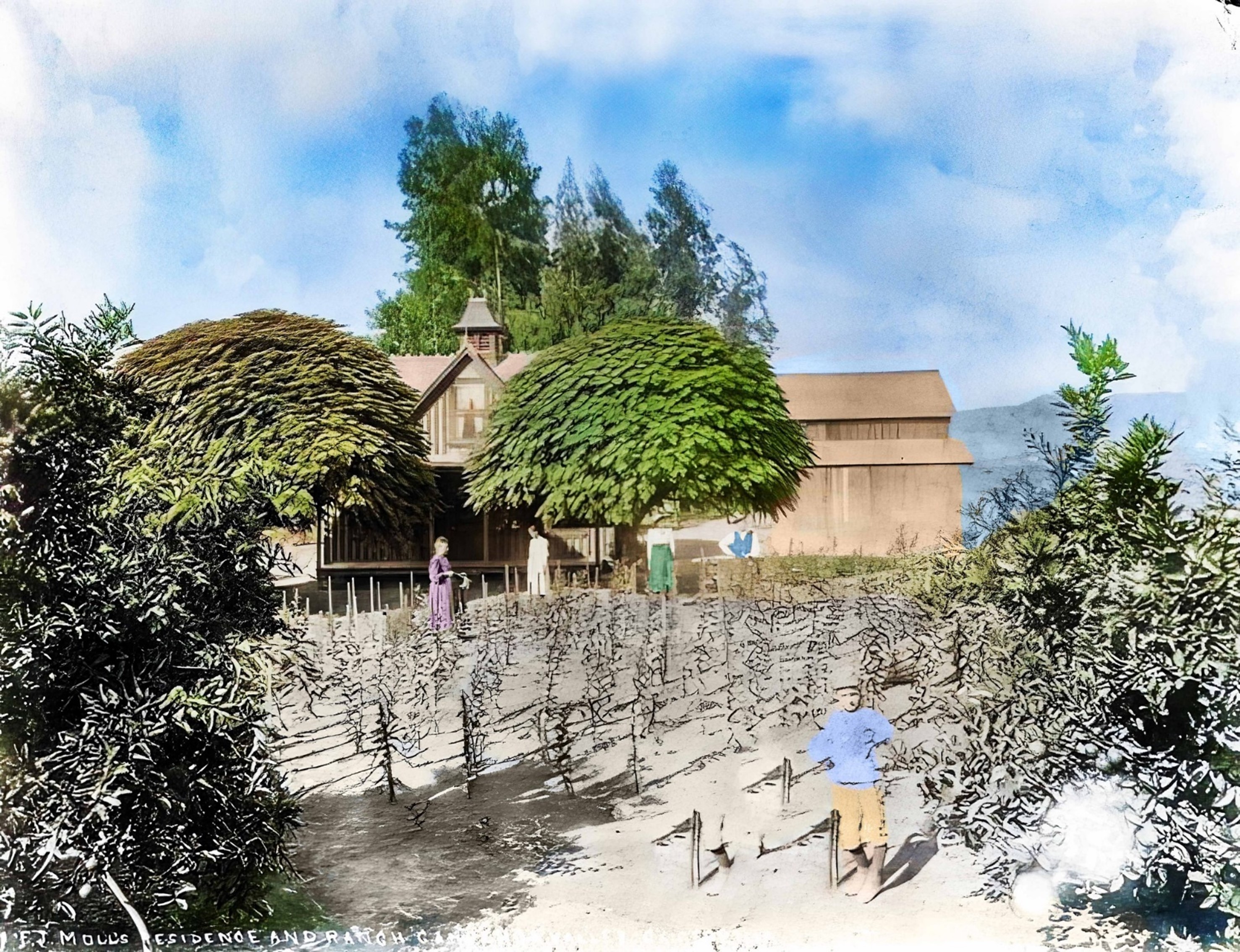 Water and Power Associates